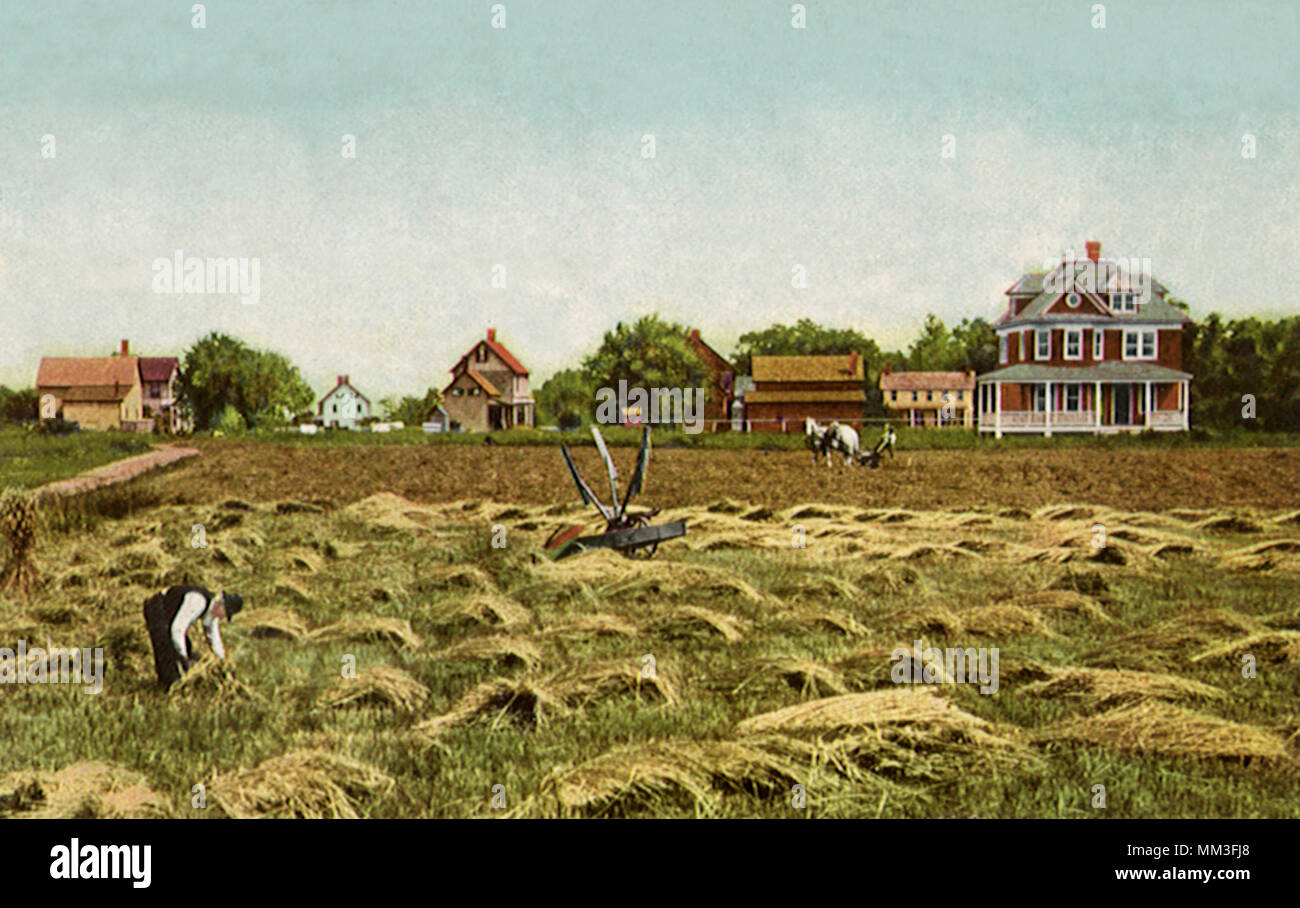 Madre hay hi-res stock photography and images - Alamy