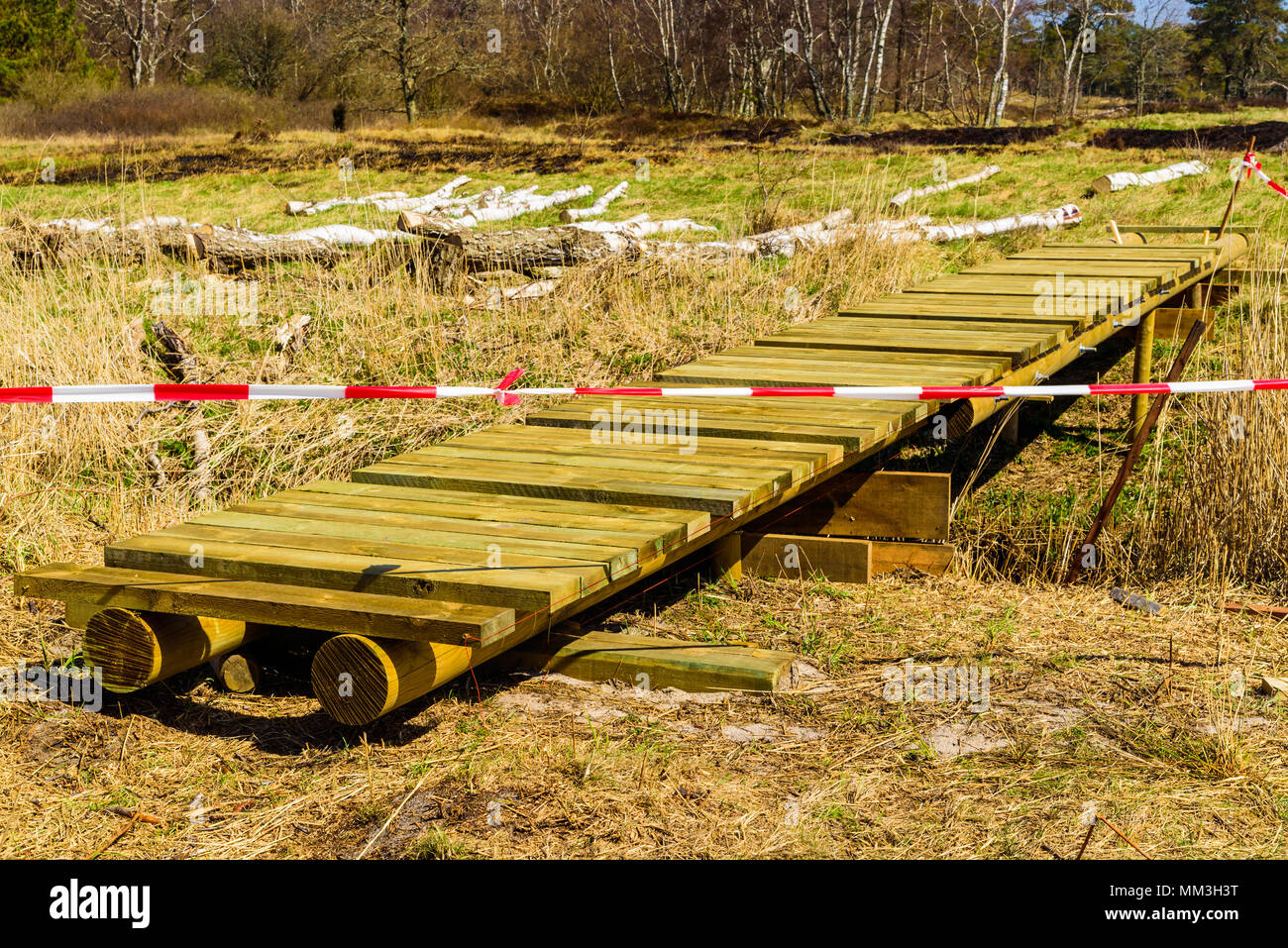 Hagestad nature reserve in Loderup, Sweden - Construction site of a new ...