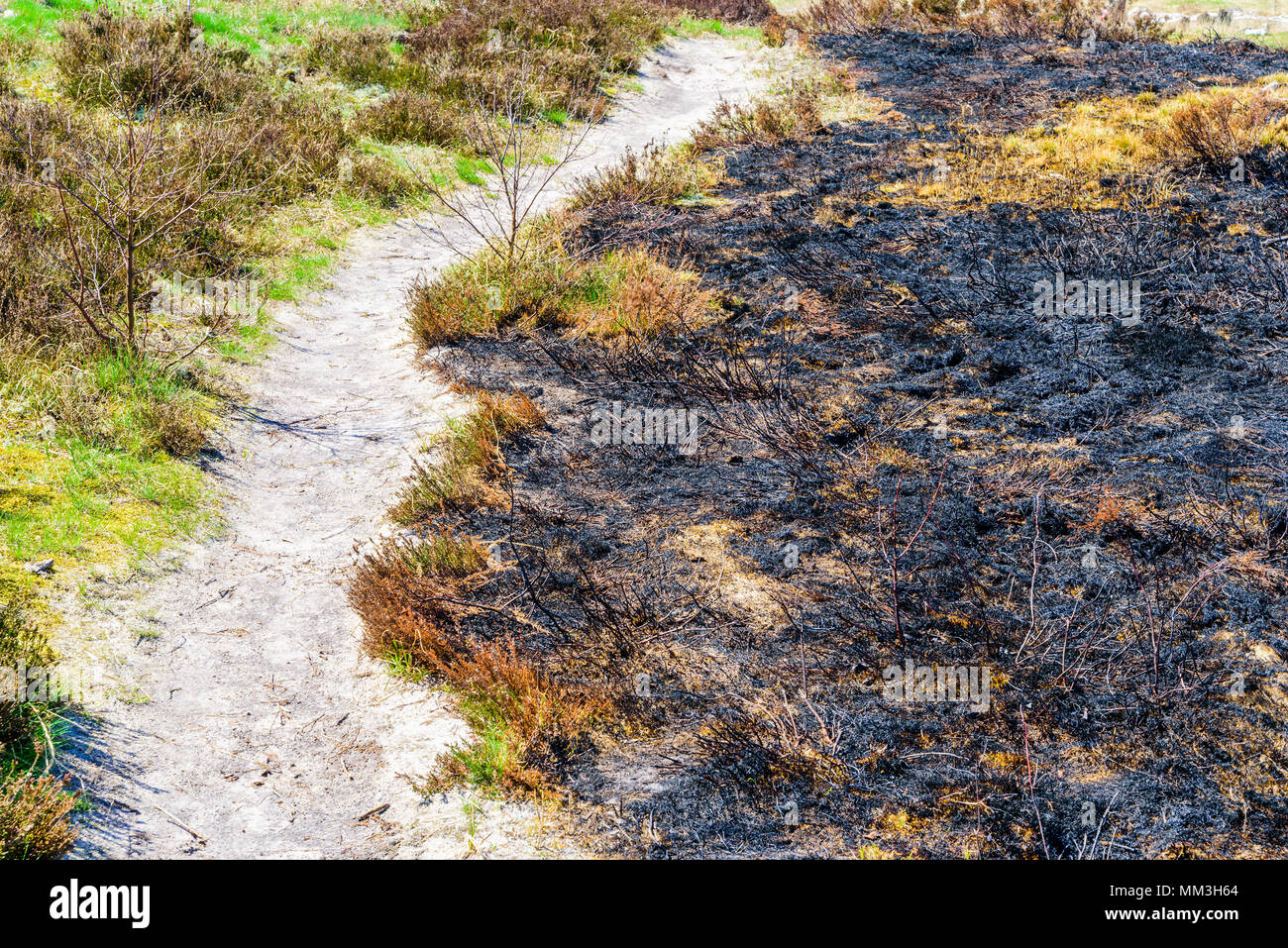 Burn marks hi-res stock photography and images - Alamy