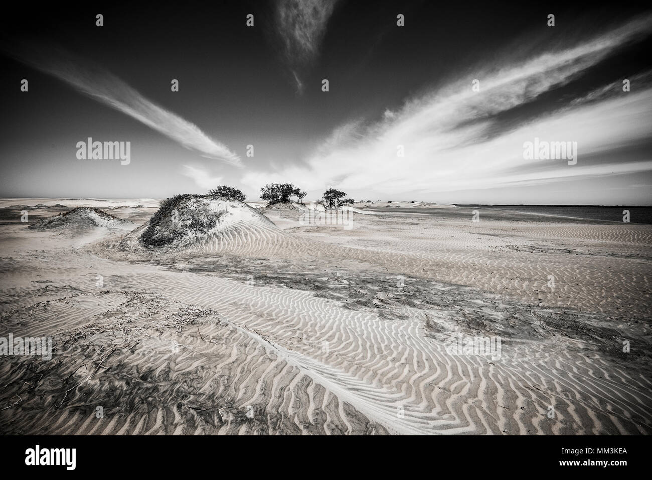 Sand dunes en Bahia Magdalena bay in Baja California Peninsula in the ...