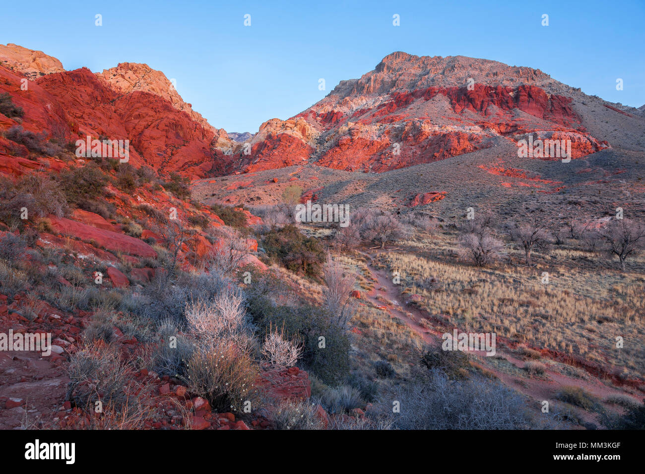 Red Rock Canyon, NV Stock Photo - Alamy