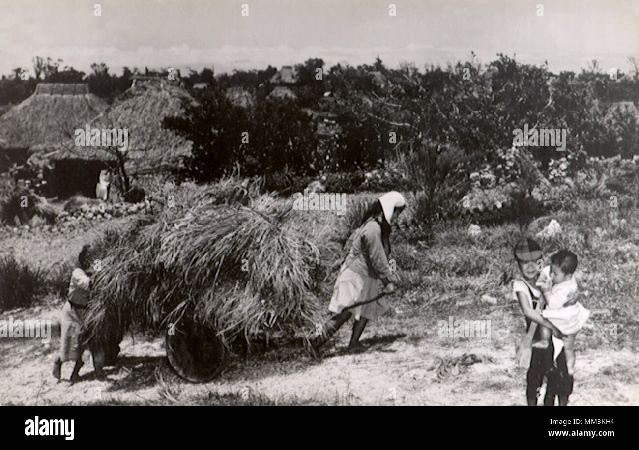 Rural Scene. Okinawa. 1940 Stock Photo - Alamy