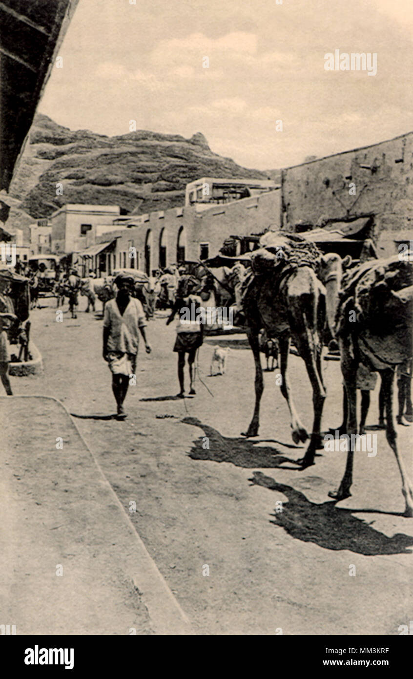 Street with camels hi-res stock photography and images - Alamy