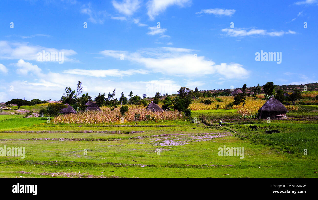Konso house hi-res stock photography and images - Alamy