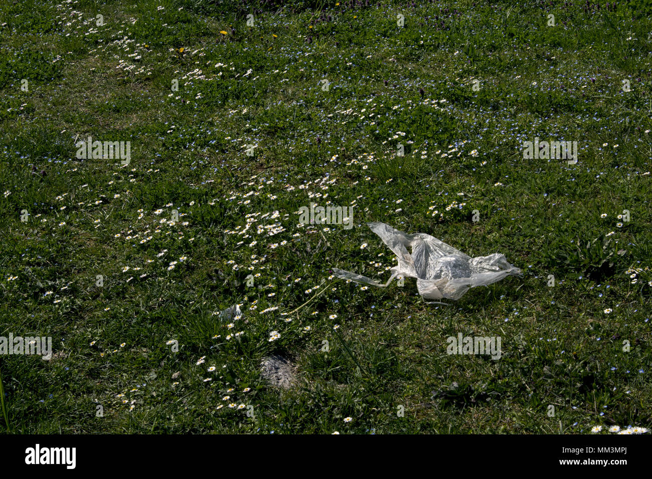 Trash in the nature Stock Photo - Alamy