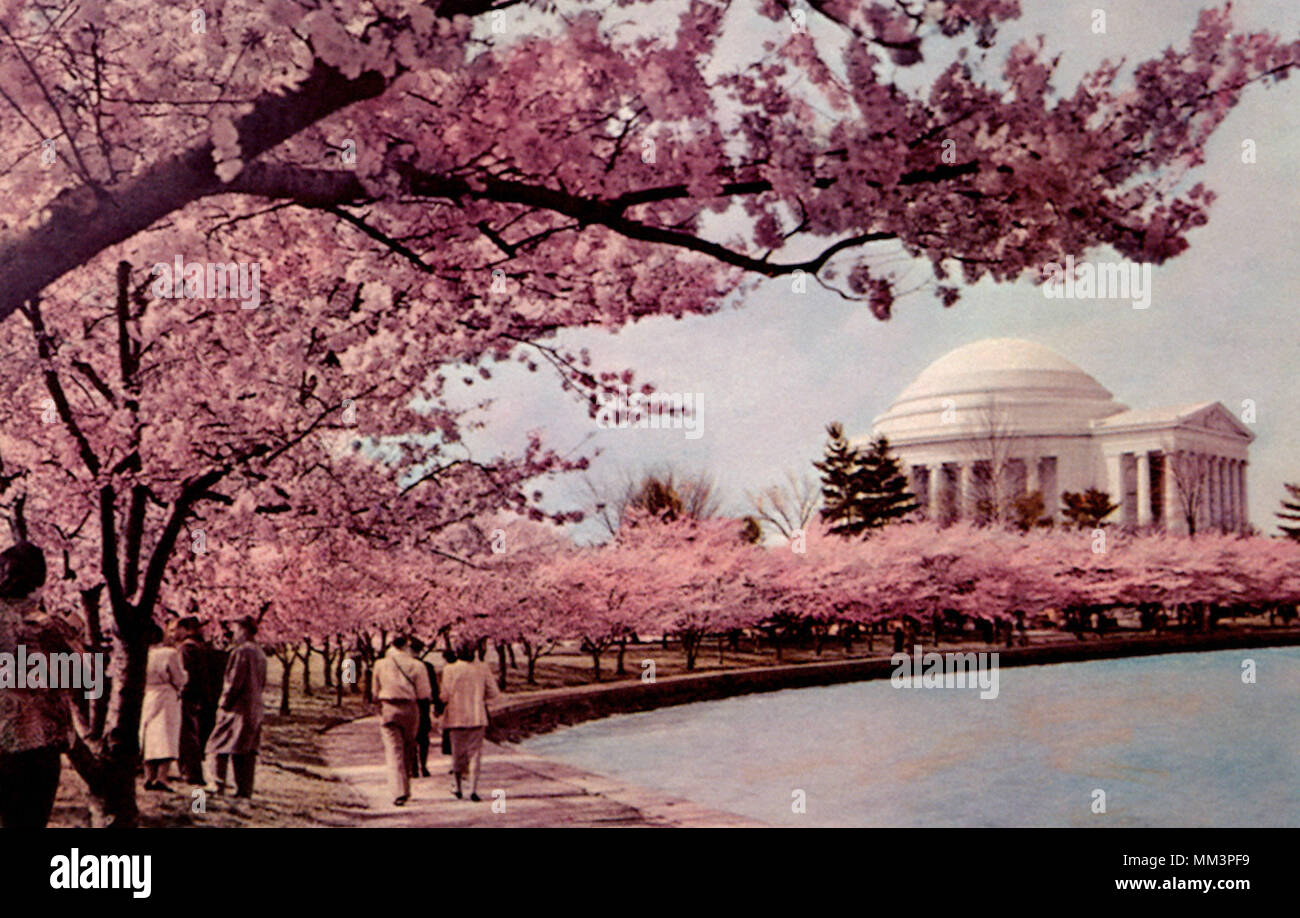 Jefferson Memorial. Washington DC. 1965 Stock Photo - Alamy