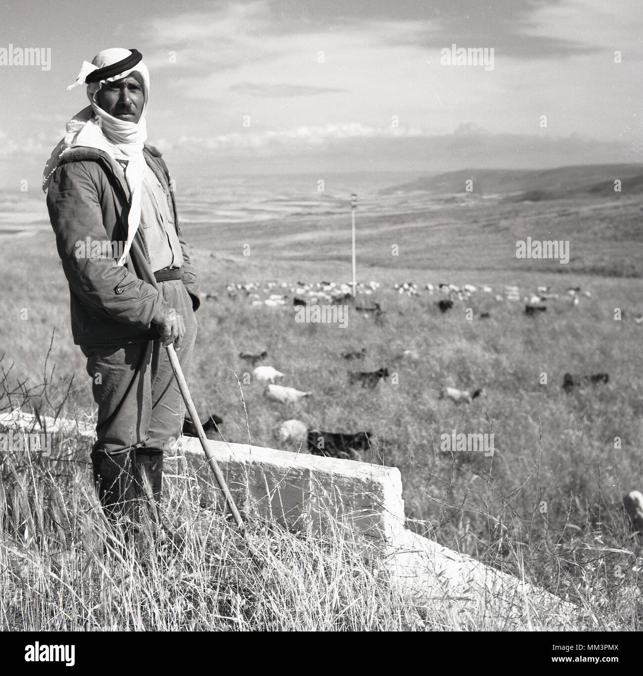 1955, historical, a portrait by J Allan Cash of a Palestinian Bedouin ...