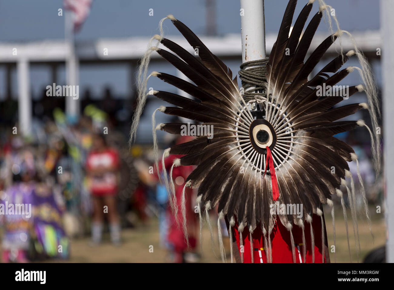Feather bustle. Cheyenne River Sioux Tribe Fair, Rodeo and Pow Wow ...