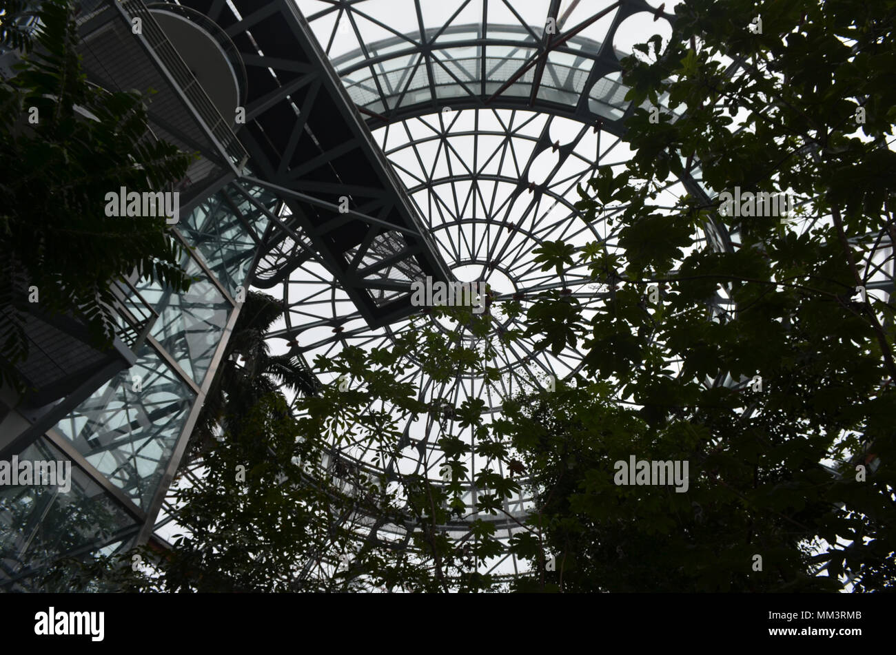 Rainforest greenhouse Dome in Taichung’s Botanical Garden Stock Photo ...