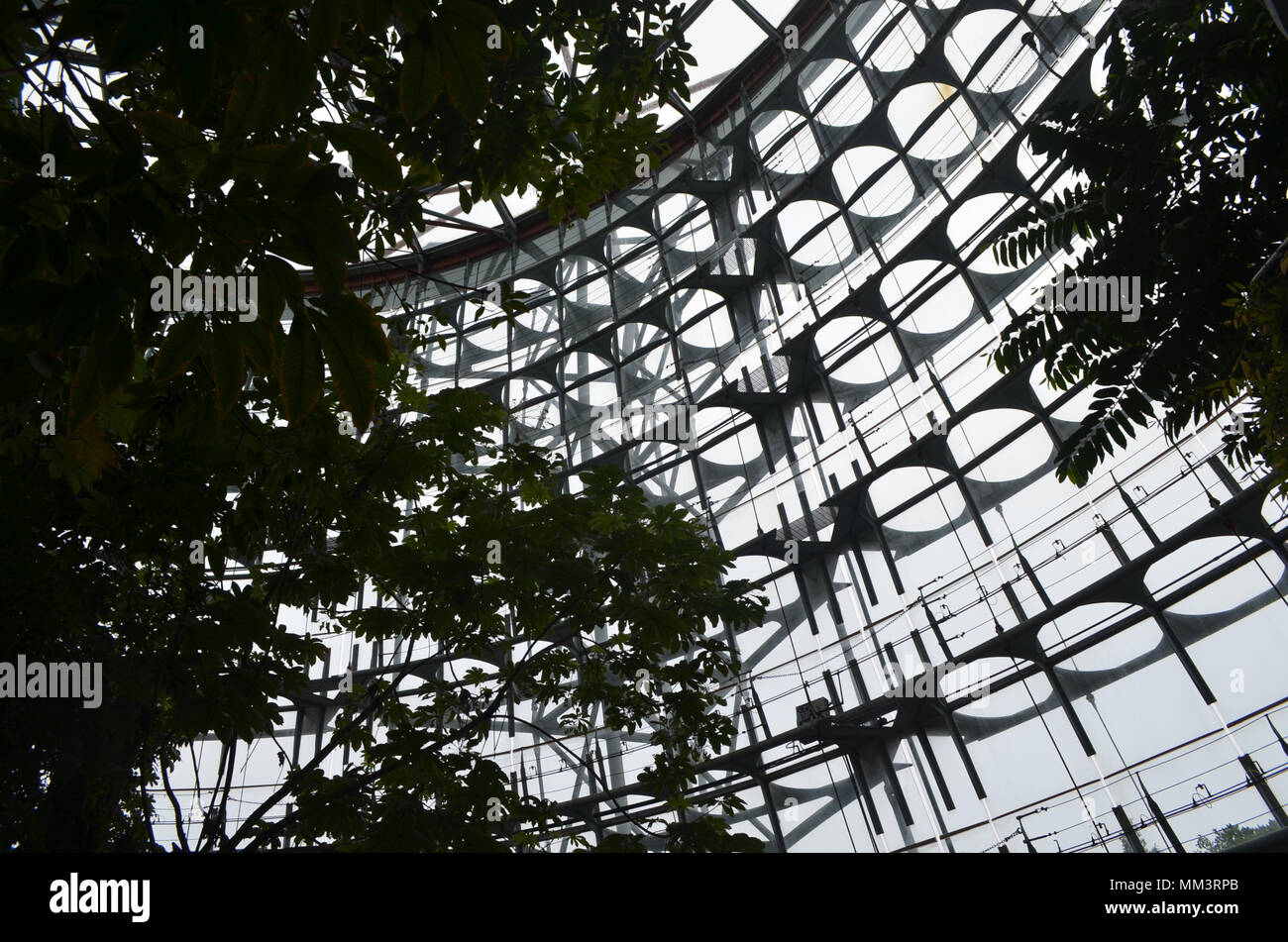 Rainforest greenhouse Dome in Taichung’s Botanical Garden Stock Photo ...