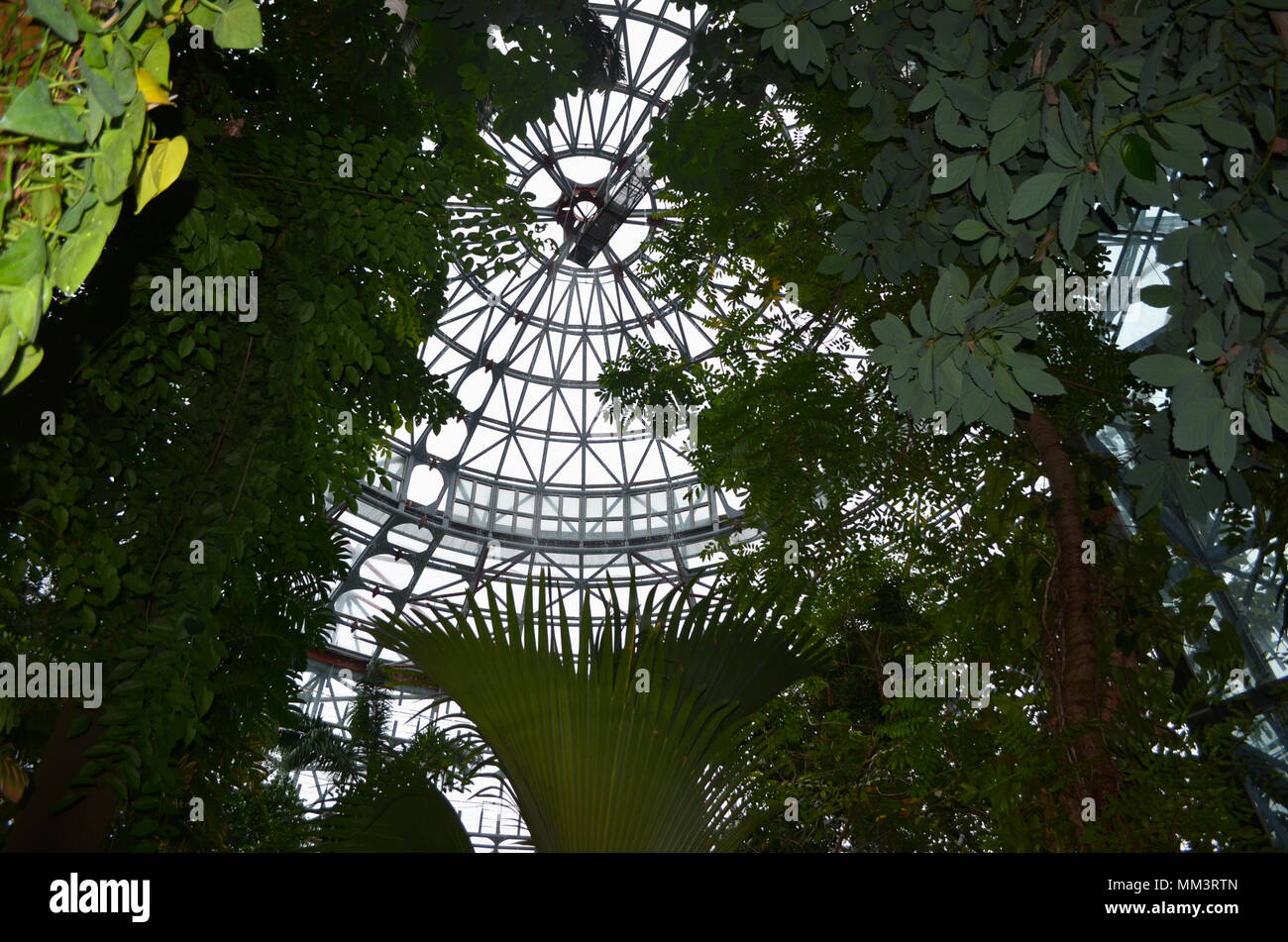 Rainforest greenhouse Dome in Taichung’s Botanical Garden Stock Photo ...