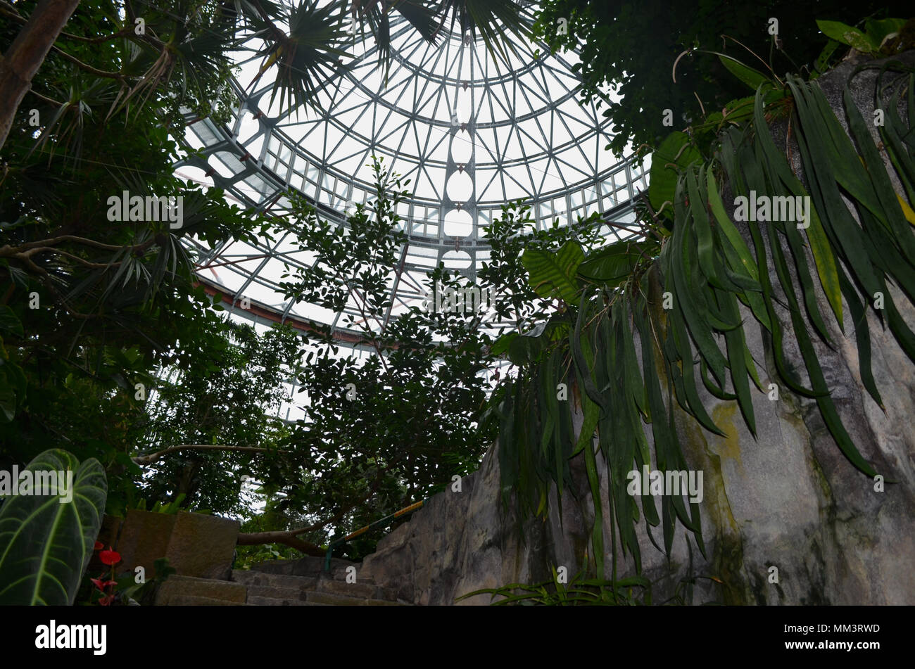 Rainforest greenhouse Dome in Taichung’s Botanical Garden Stock Photo ...