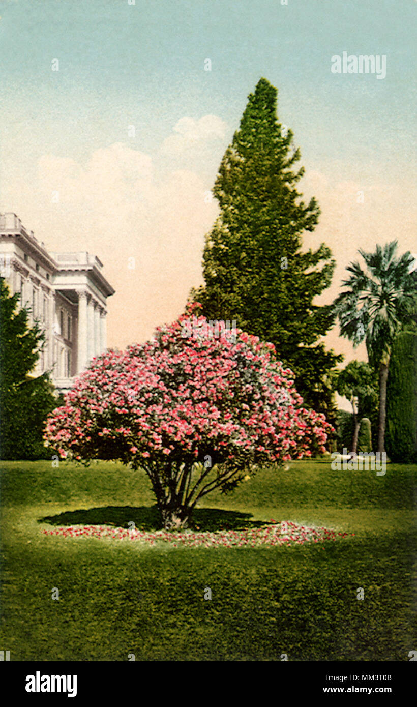 State Capitol Park. Sacramento. 1910 Stock Photo - Alamy