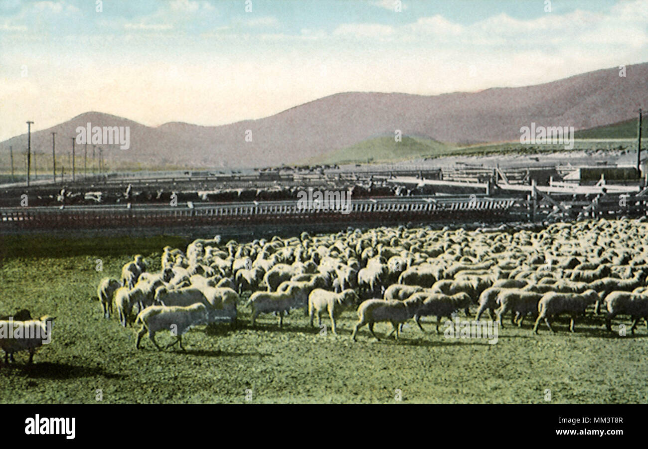 Co meat hi-res stock photography and images - Alamy