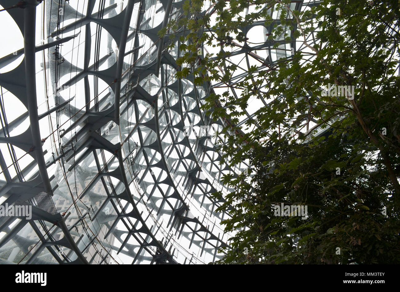 Rainforest greenhouse Dome in Taichung’s Botanical Garden Stock Photo ...