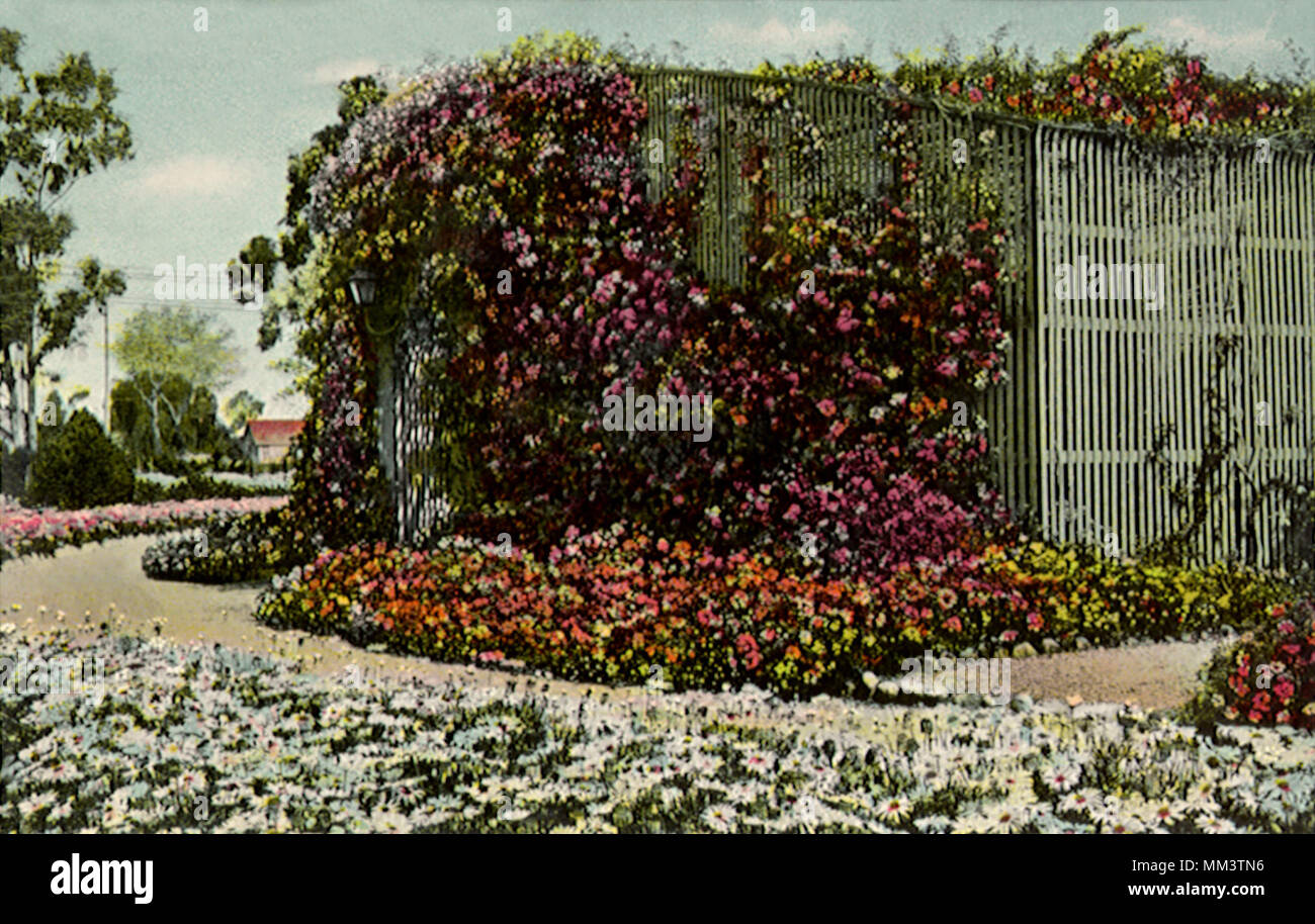 Barbara Potter High Resolution Stock Photography and Images - Alamy