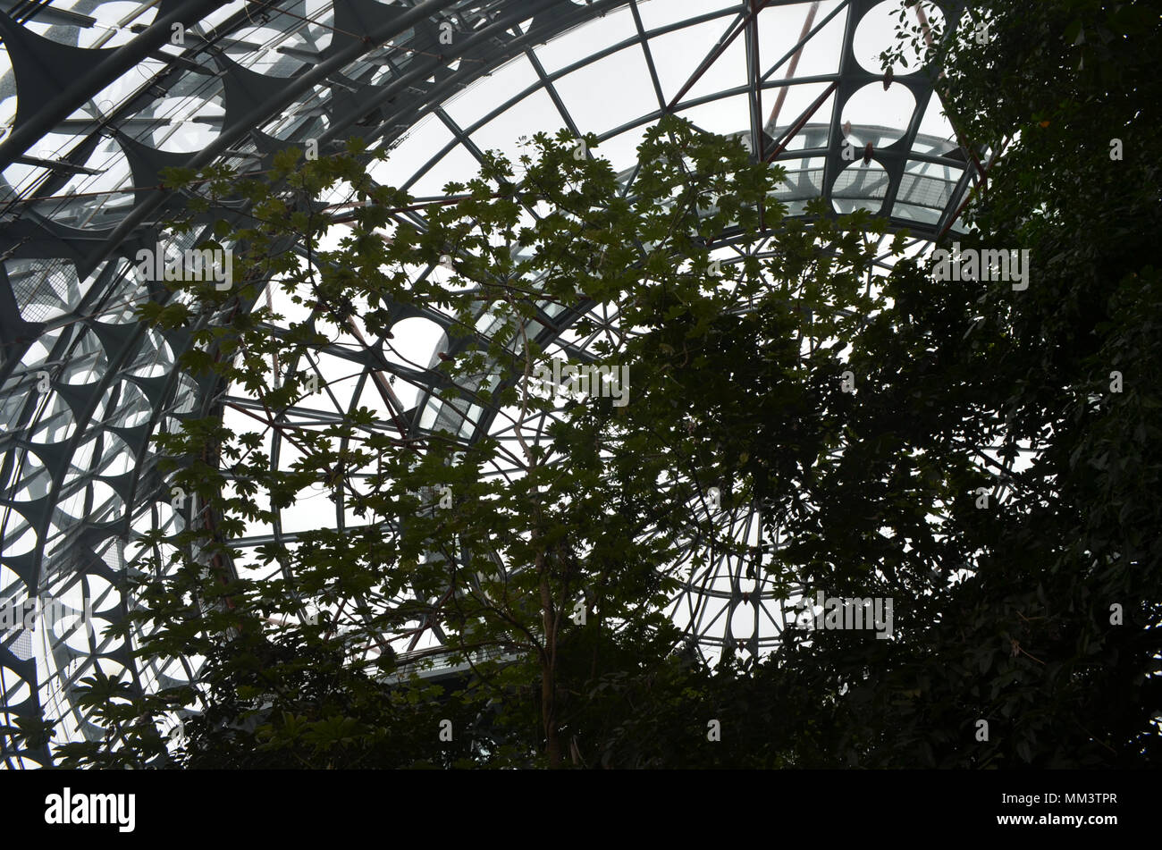 Rainforest greenhouse Dome in Taichung’s Botanical Garden Stock Photo ...