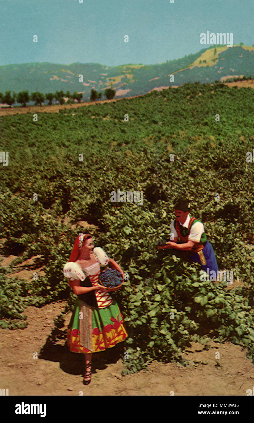 Italian swiss colony hi-res stock photography and images - Alamy