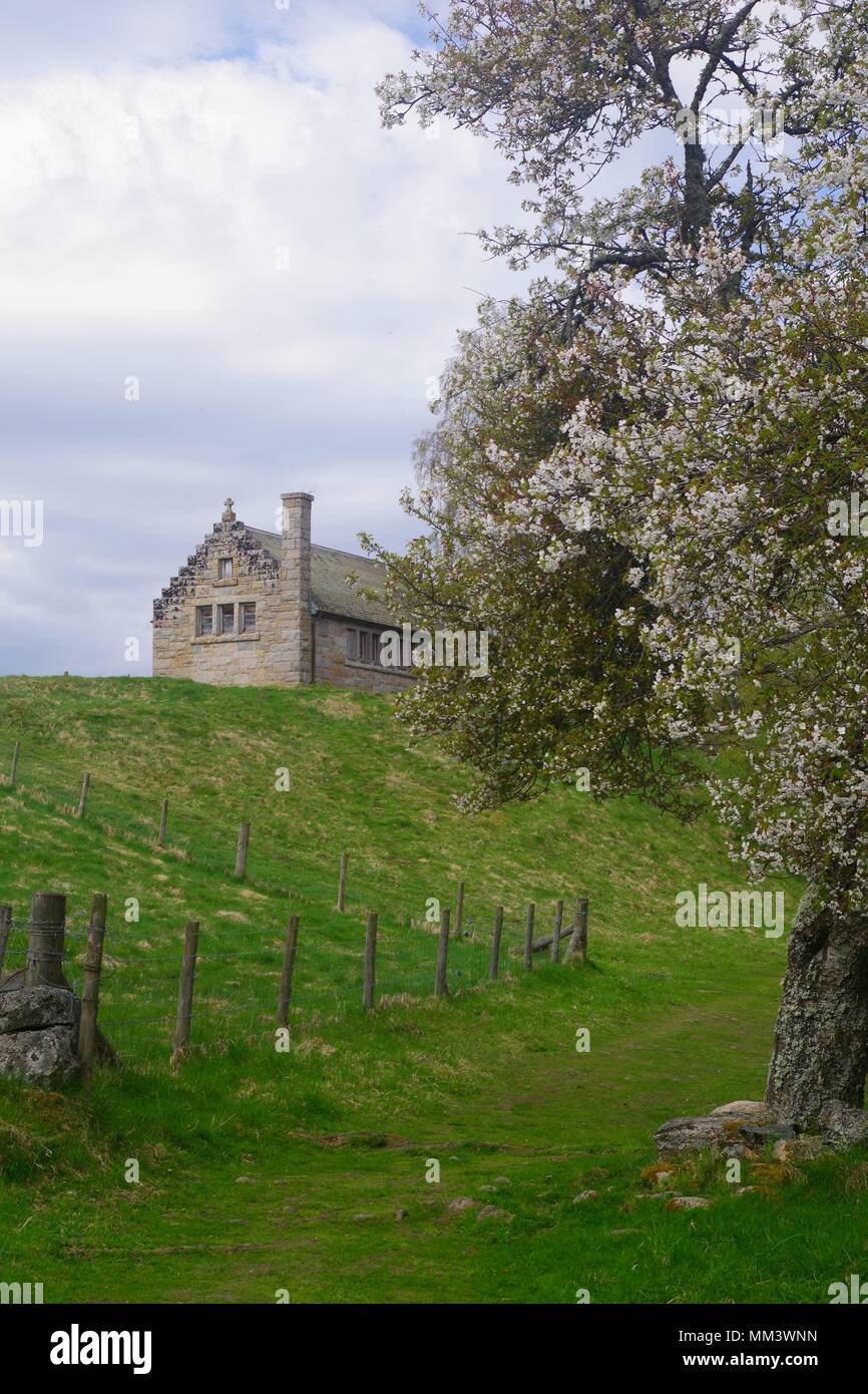 Small Farm Chapel on a Grassy Hill by a White Flowering Cherry Tree ...
