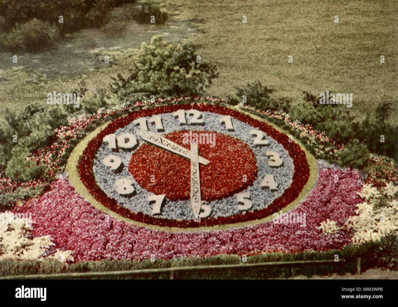 Flower Clock. Görlitz. 1960 Stock Photo - Alamy