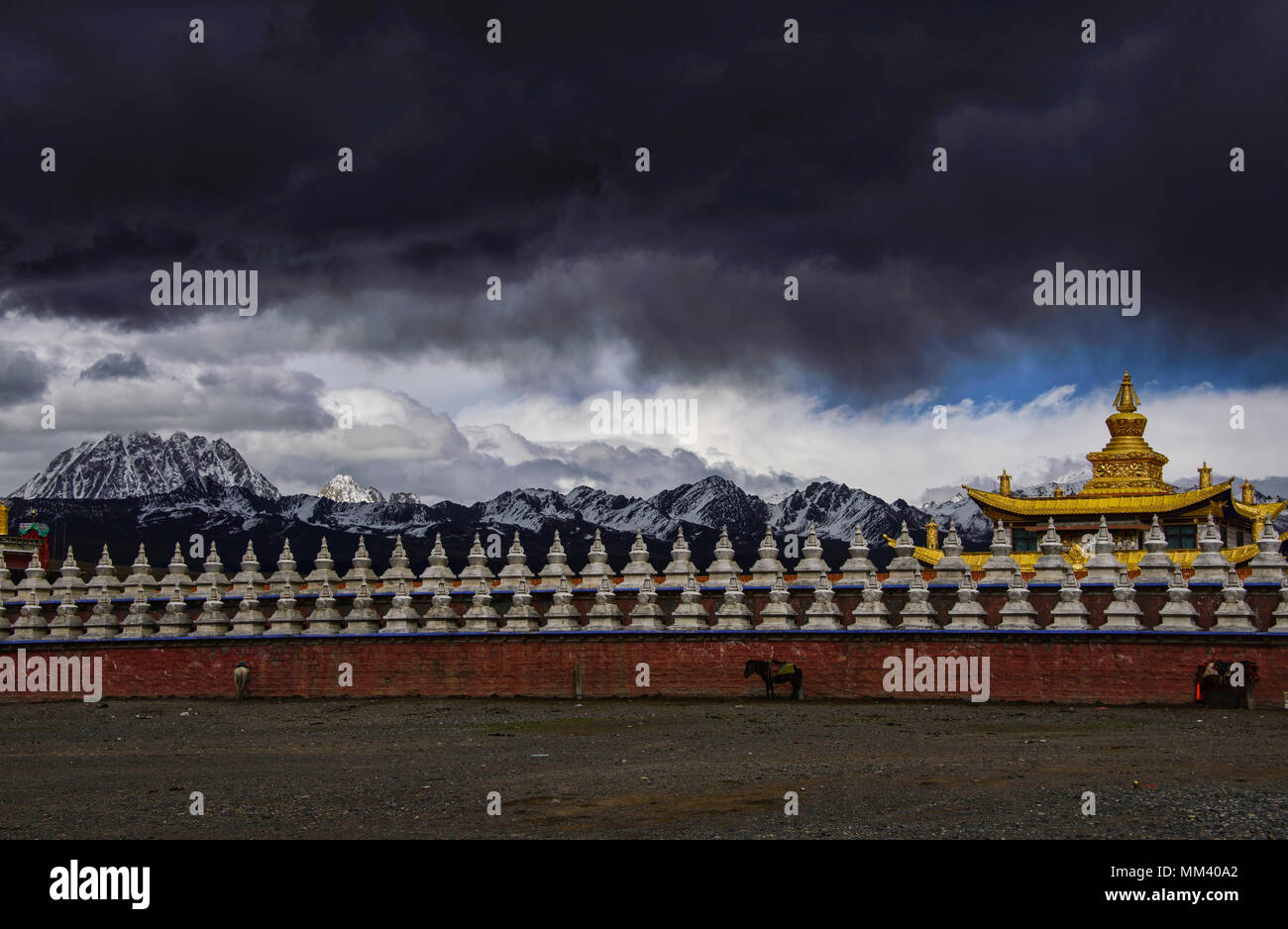 Zakhra range hi-res stock photography and images - Alamy