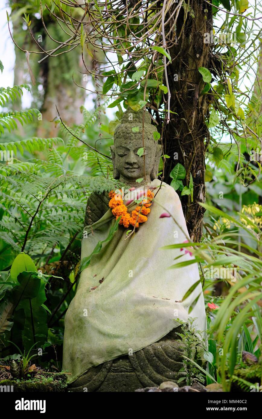 Buddha relics hi-res stock photography and images - Alamy