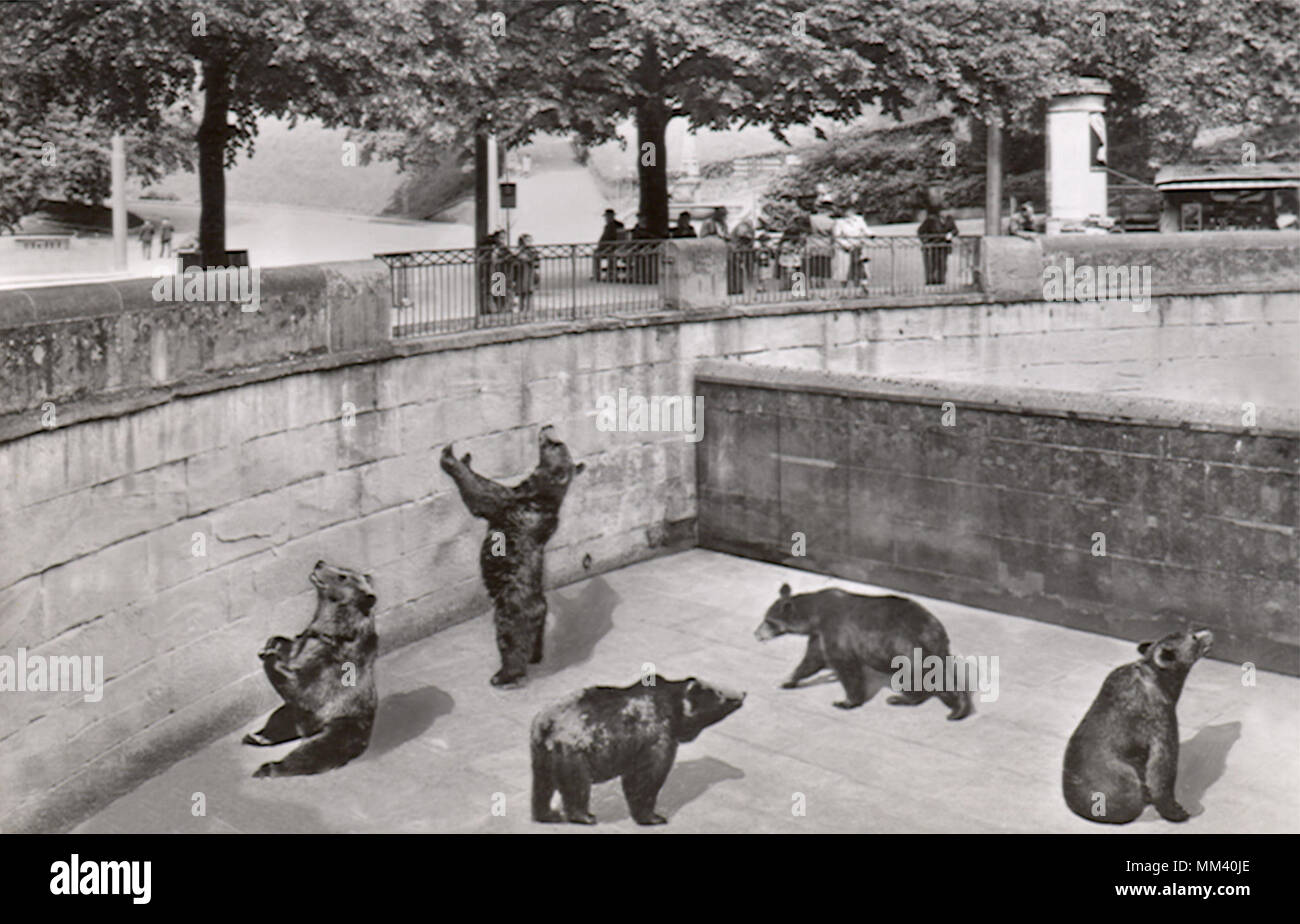 Bear Pit. Bern. 1940 Stock Photo - Alamy
