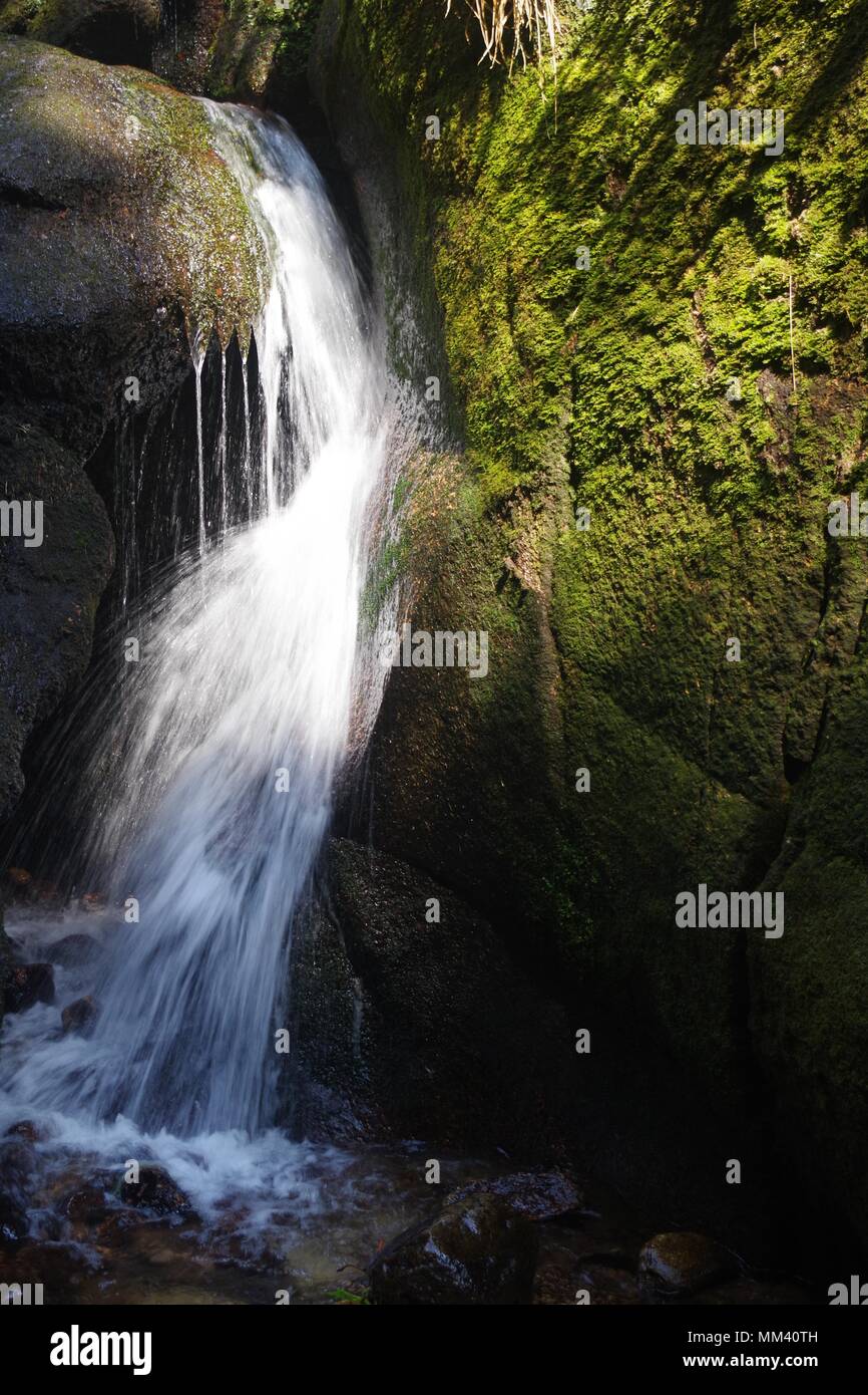 Waterfall at the Burn O' Vat Glacial Pothole. Muir of Dinnet NNR ...