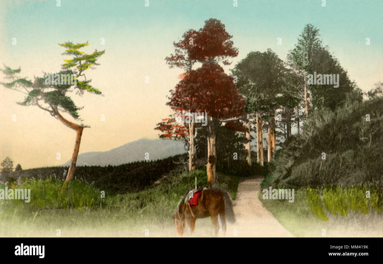 Old Pasth. Hakone. 1910 Stock Photo - Alamy