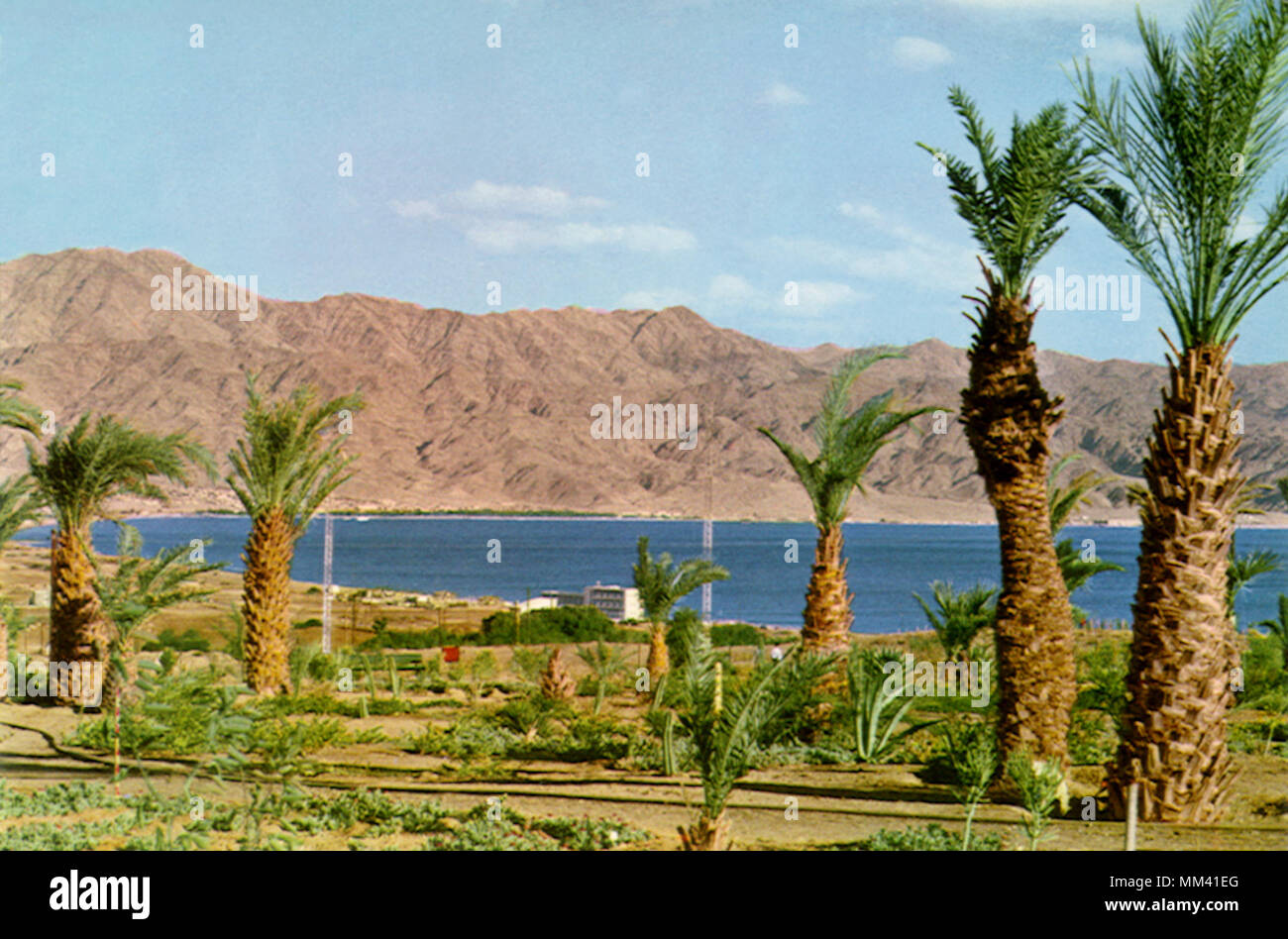 Elath hi-res stock photography and images - Alamy