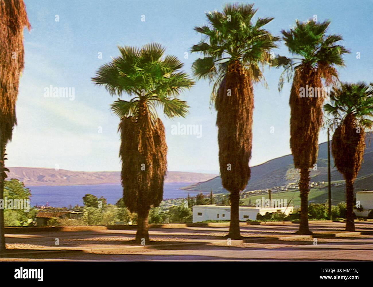 Shemuel hi-res stock photography and images - Alamy