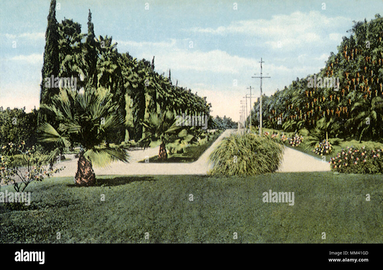 Victoria avenue hi-res stock photography and images - Alamy