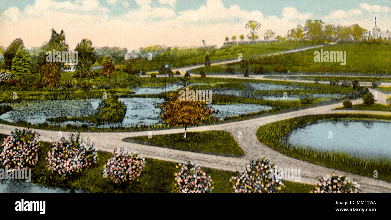 Springfield forest hi-res stock photography and images - Alamy