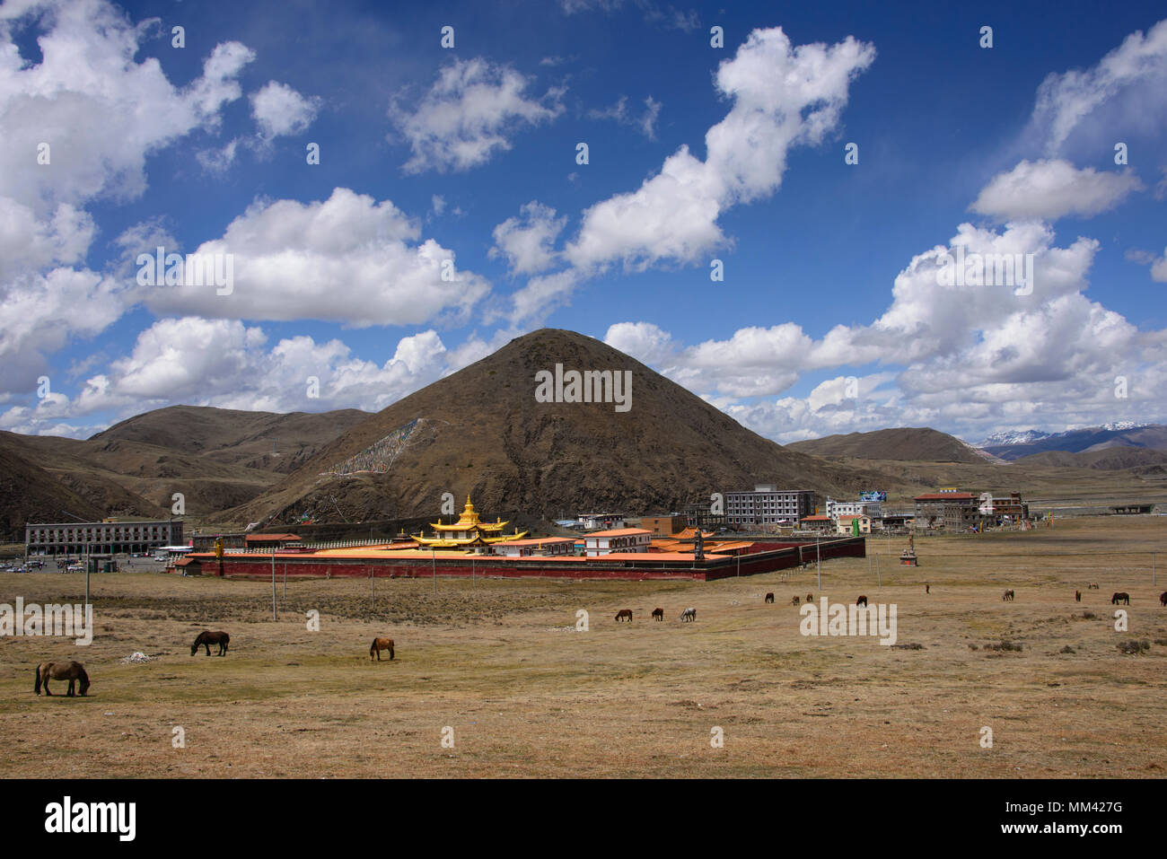 Mounta yala hi-res stock photography and images - Alamy