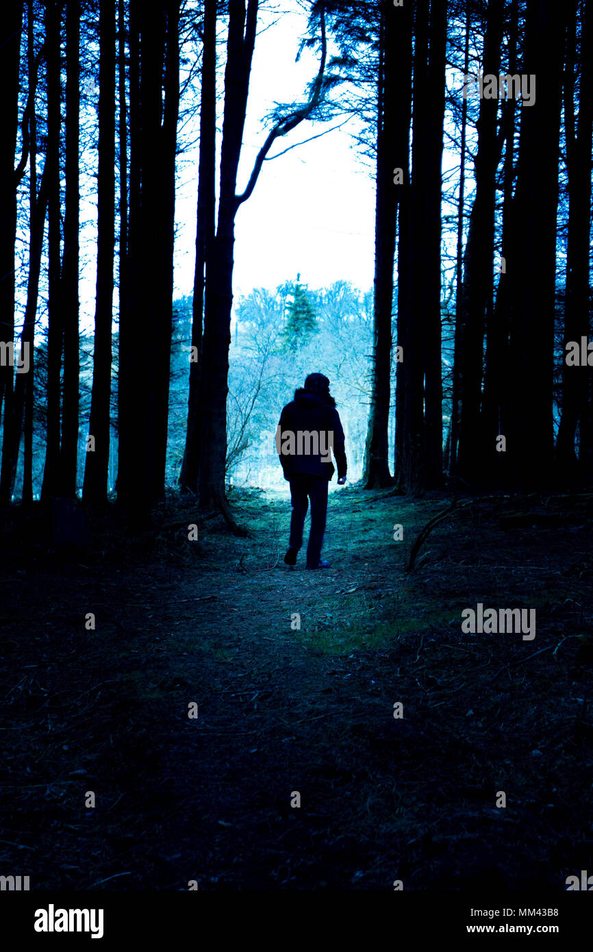 Man Walking In Dark Woods High Resolution Stock Photography and Images ...