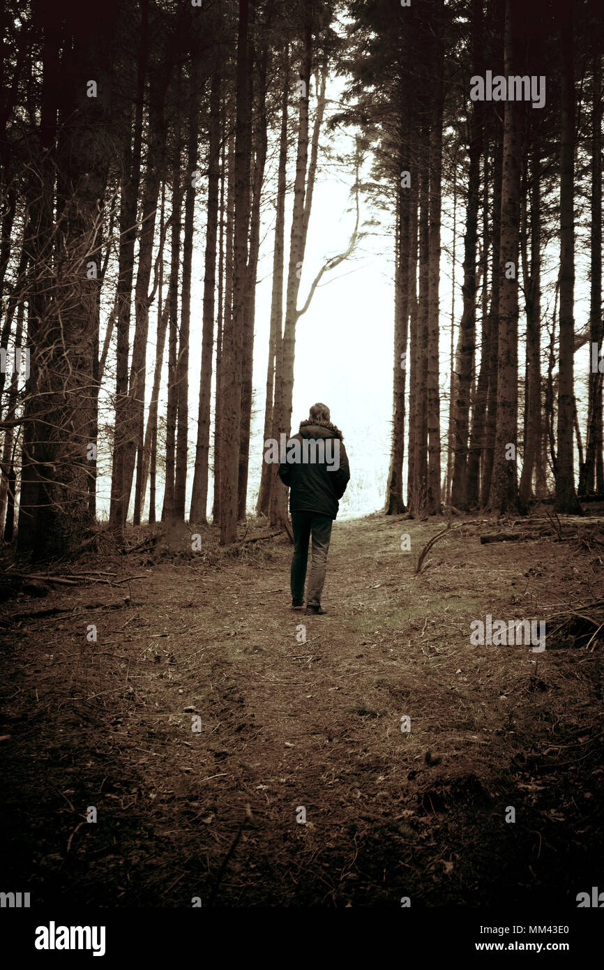 Cant see the wood through the trees hi-res stock photography and images ...