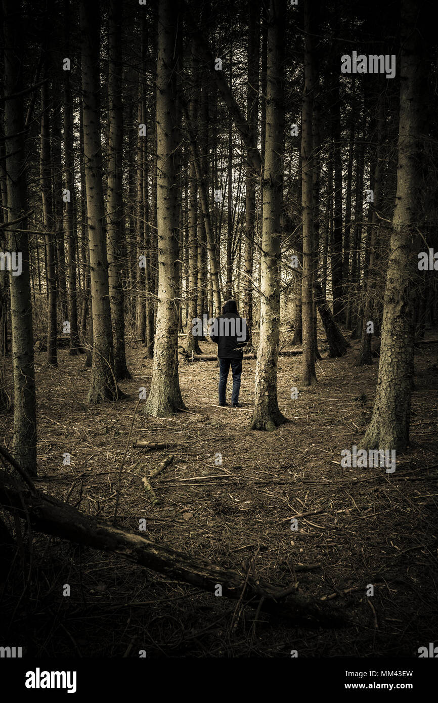 man standing in amongst the trees, brown tones Stock Photo - Alamy