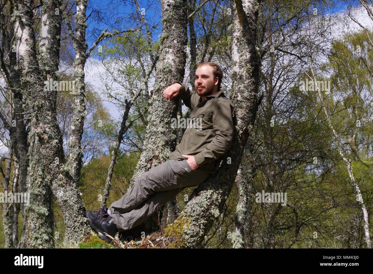 British Outdoorsman Dressed in Green, Reclining against a Silver Birch ...