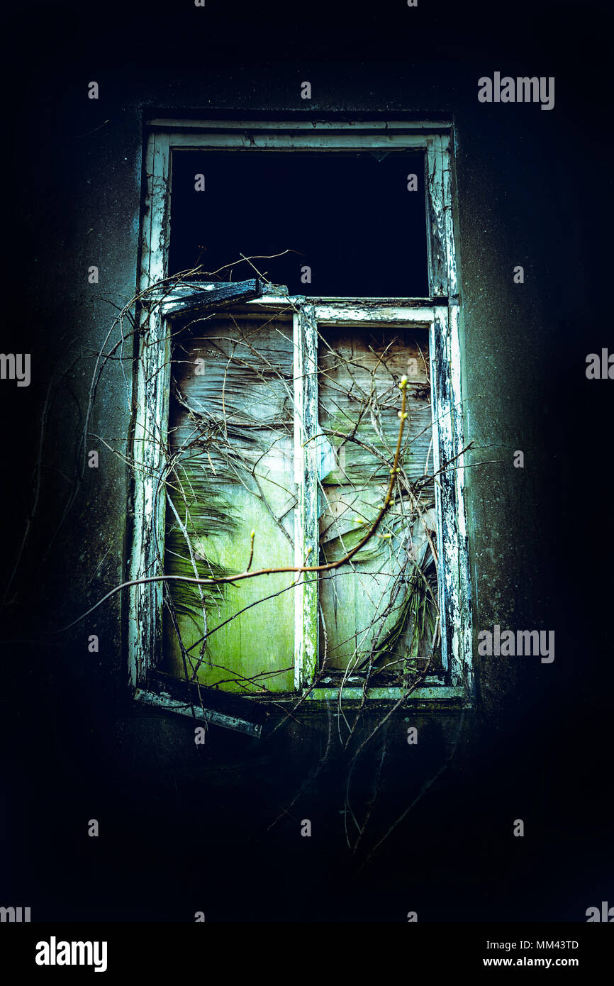 boarded up derelict window with plants growing around Stock Photo - Alamy