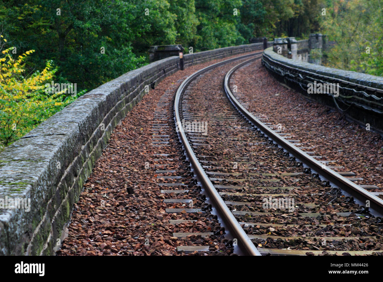 railroad bridge in the forest Stock Photo - Alamy