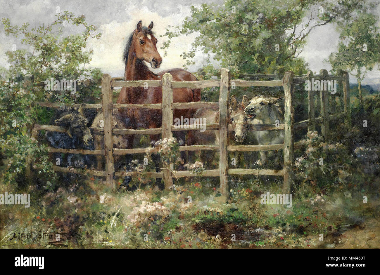 William paddock hi-res stock photography and images - Alamy