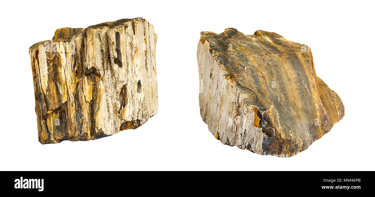 Rocks with different shape , texture and pattern, isolated on white ...