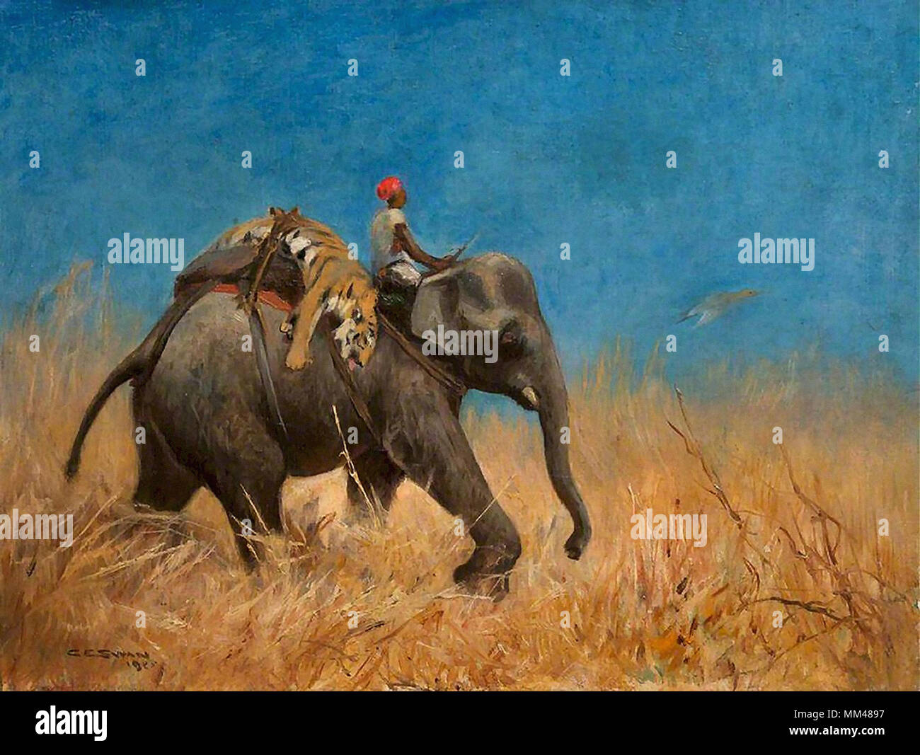 Edmund elephant hi-res stock photography and images - Alamy