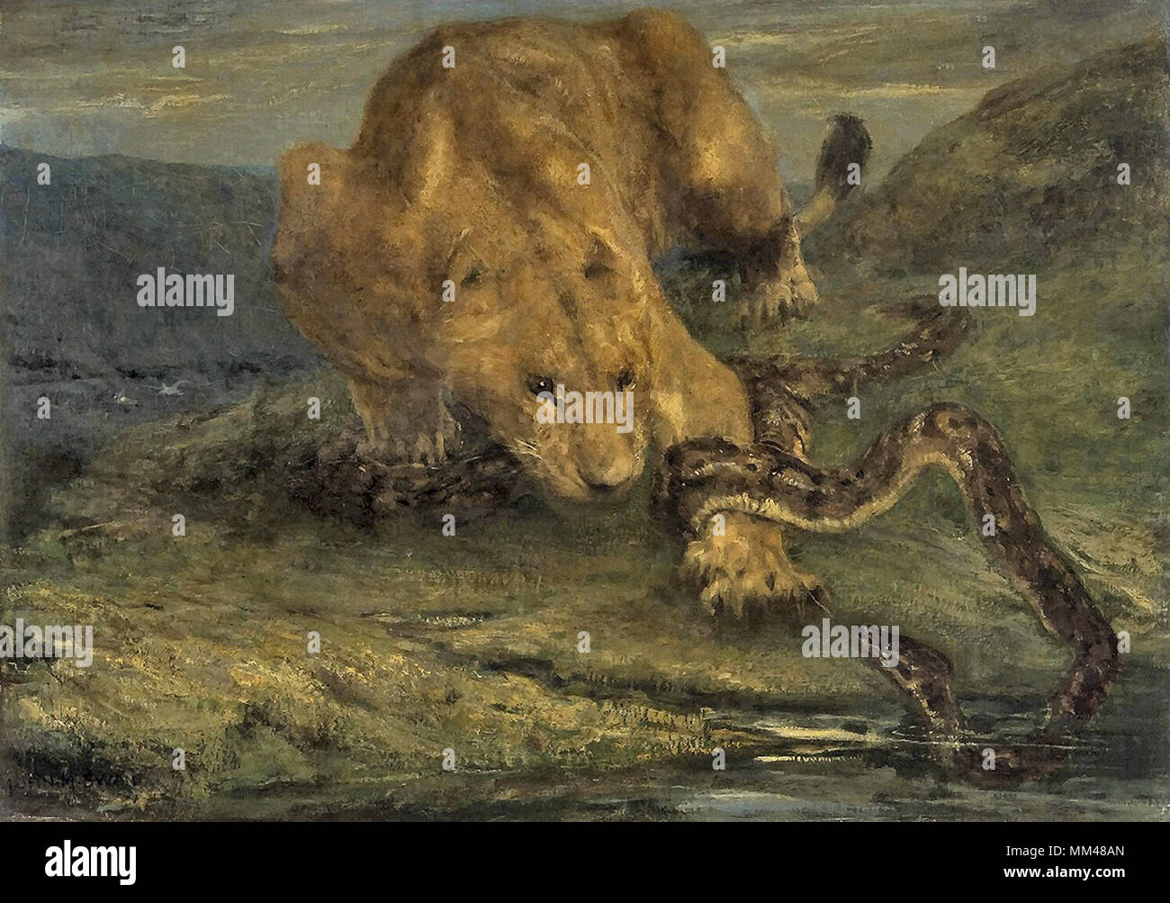 Swan John Macallan - a Lioness and a Snake Stock Photo - Alamy