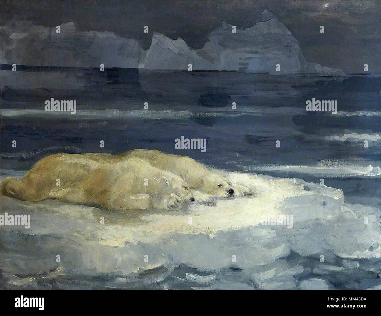 Swan John Macallan - the Cold North Stock Photo - Alamy