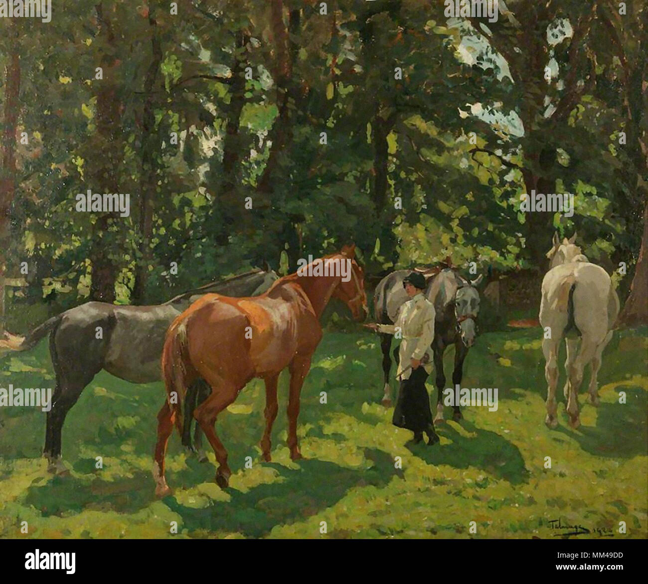 Talmage hi-res stock photography and images - Alamy