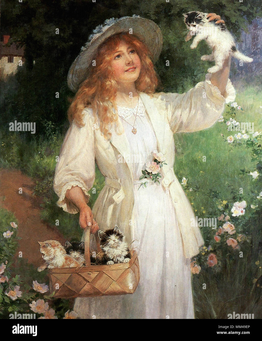 Tarrant Percy - Kittens Stock Photo - Alamy