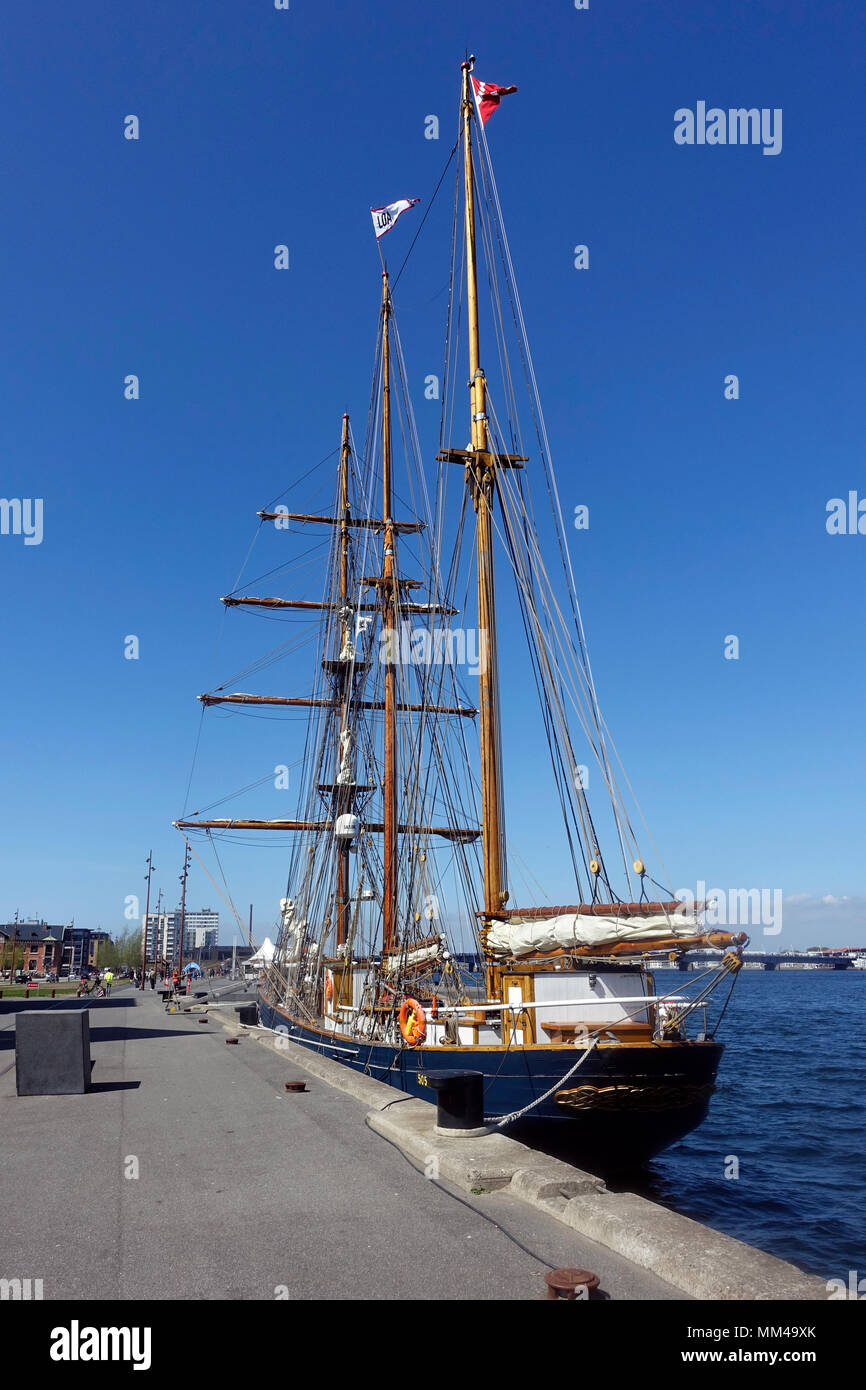Danish Sailing ship Loa moored in the harbour in Limfjorden Aalborg ...