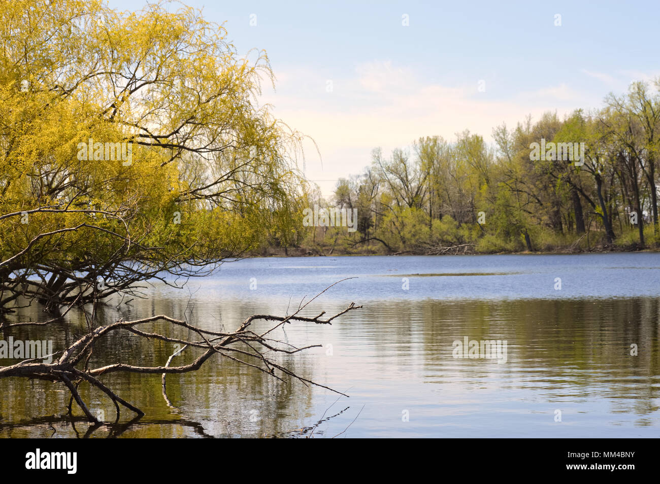 Lake landscape during the spring Stock Photo - Alamy