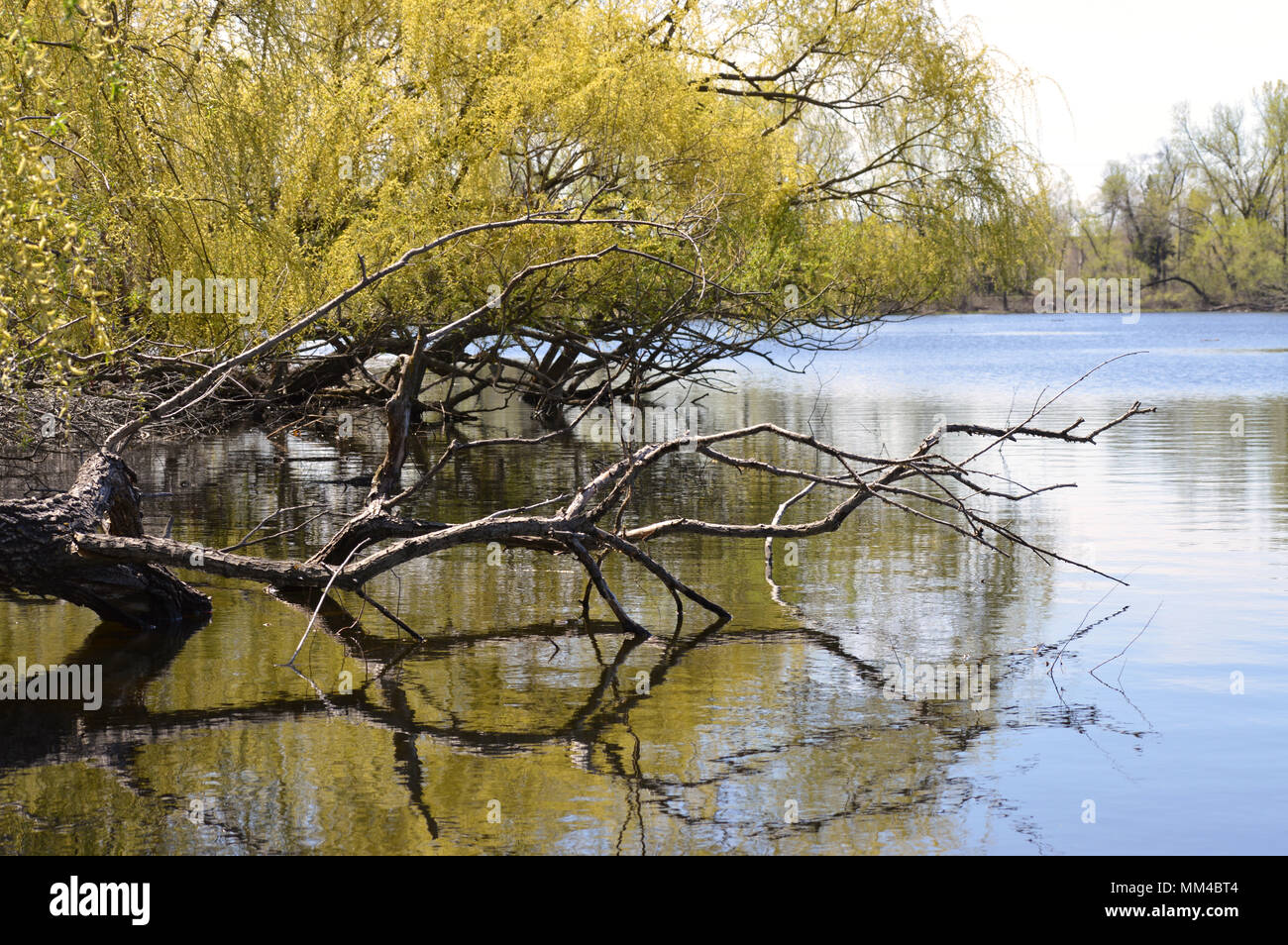Lake landscape during the spring Stock Photo - Alamy